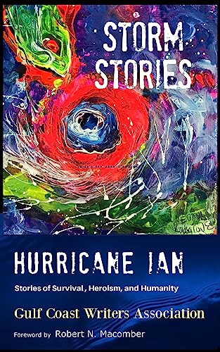 Storm Stories - Hurricane Ian Book – Lovegrove Studio,Inc